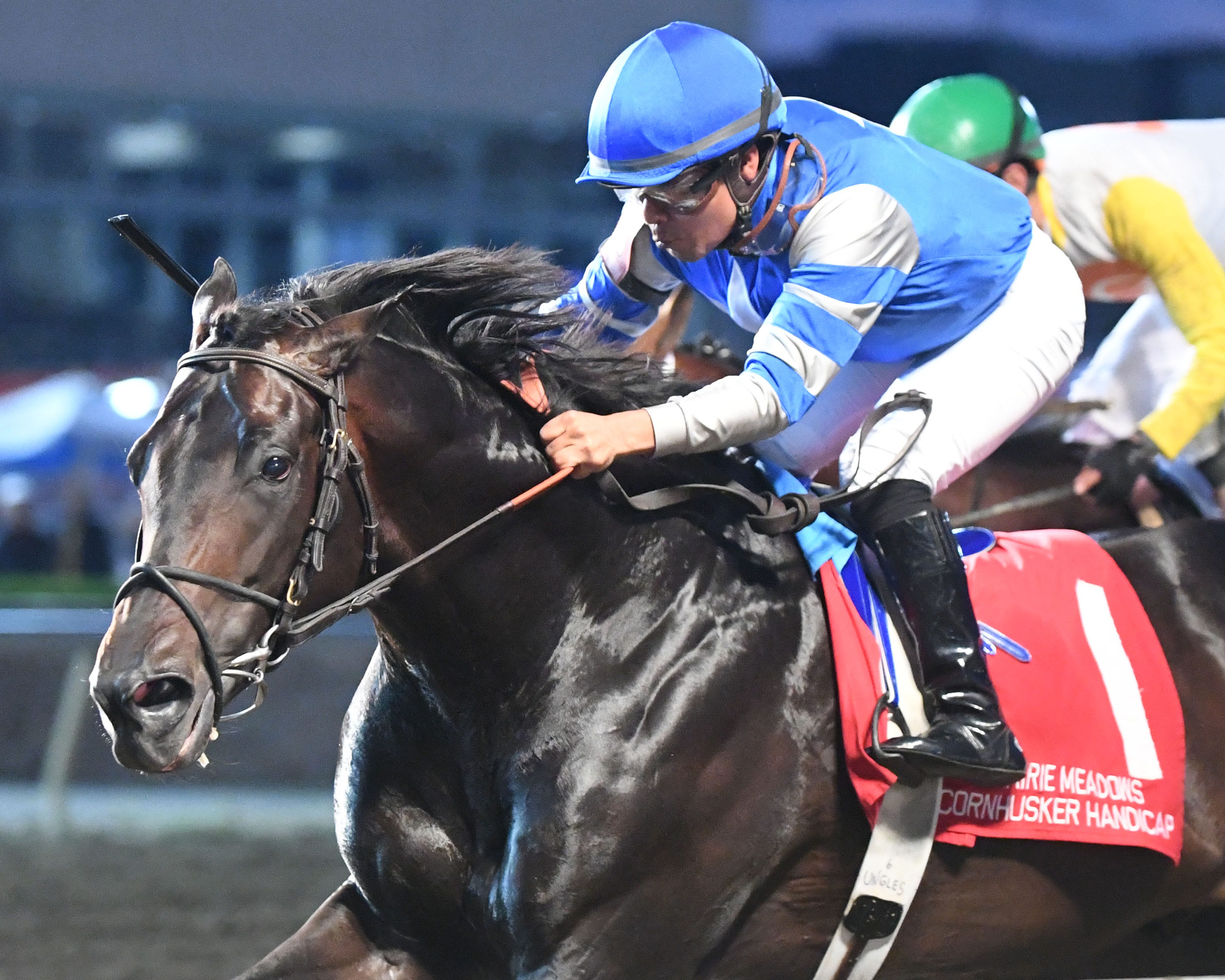 Rain changes complexion of co-features